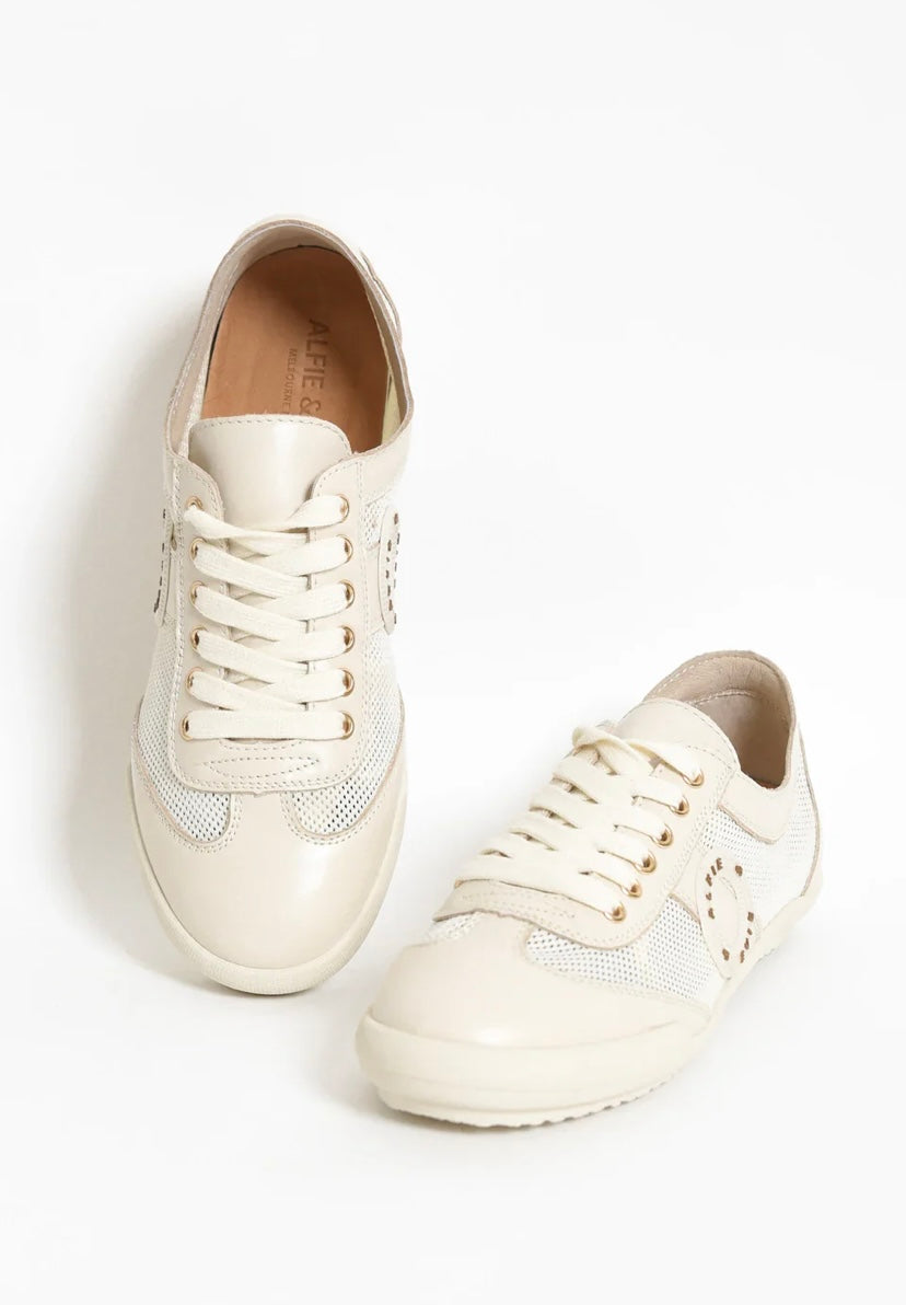 Alfie & Evie Jamie Cream Sneaker – By the Bay Footwear